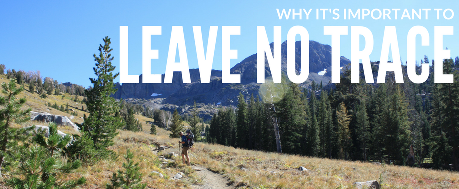 Importance of "Leave No Trace" Principle: Why It's Important