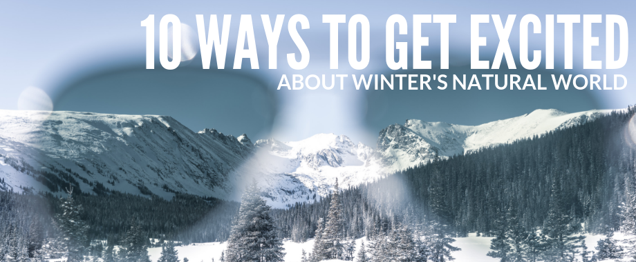 10 Fun Outdoor Winter Activities | Fun Nature Activities